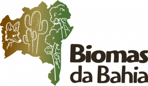 MP lança projeto ‘Biomas da Bahia’ para fomentar criação de novas ...